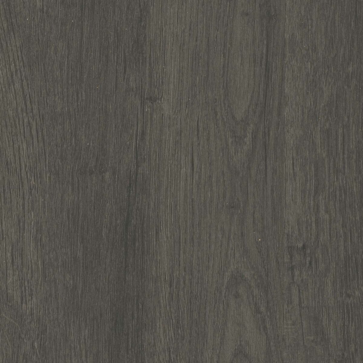 75V Roble Azabache Atlas - Maderas Cilpe S.L.